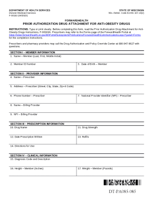 Prior Authorization Request Completion - dhs wisconsin Doc Template ...