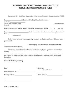 Fillable Online MINOR VISITATION CONSENT FORM Fax Email Print - pdfFiller