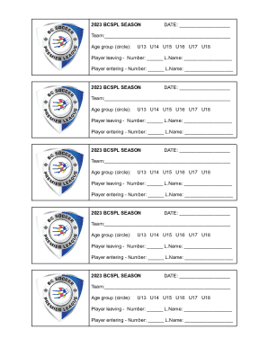 Fillable Online Youth Soccer Age Groups Chart Fax Email Print - pdfFiller