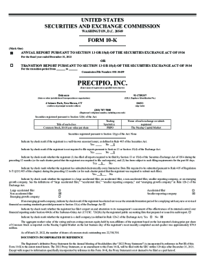 Fillable Online financial reporting under Section 404(b) of the ...