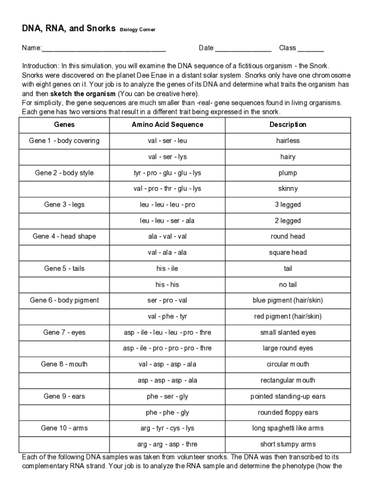 Fillable Online DNA, RNA and SNORKS! Introduction: In this simulation ...