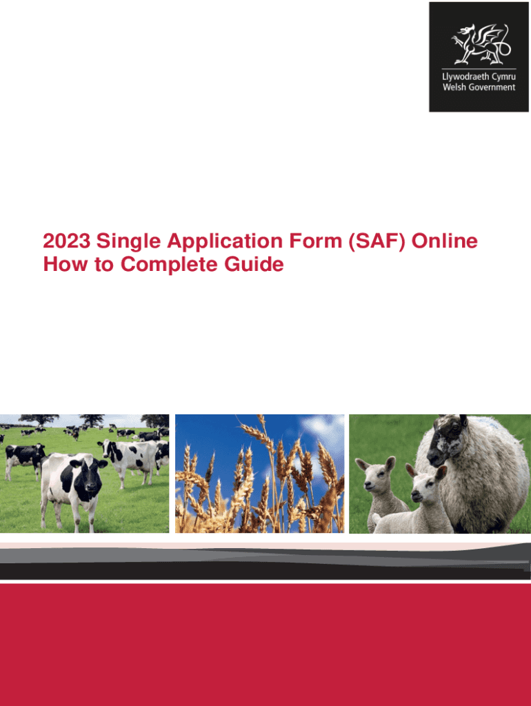 Fillable Online 2023 Single Application Form (SAF) Online How to ...