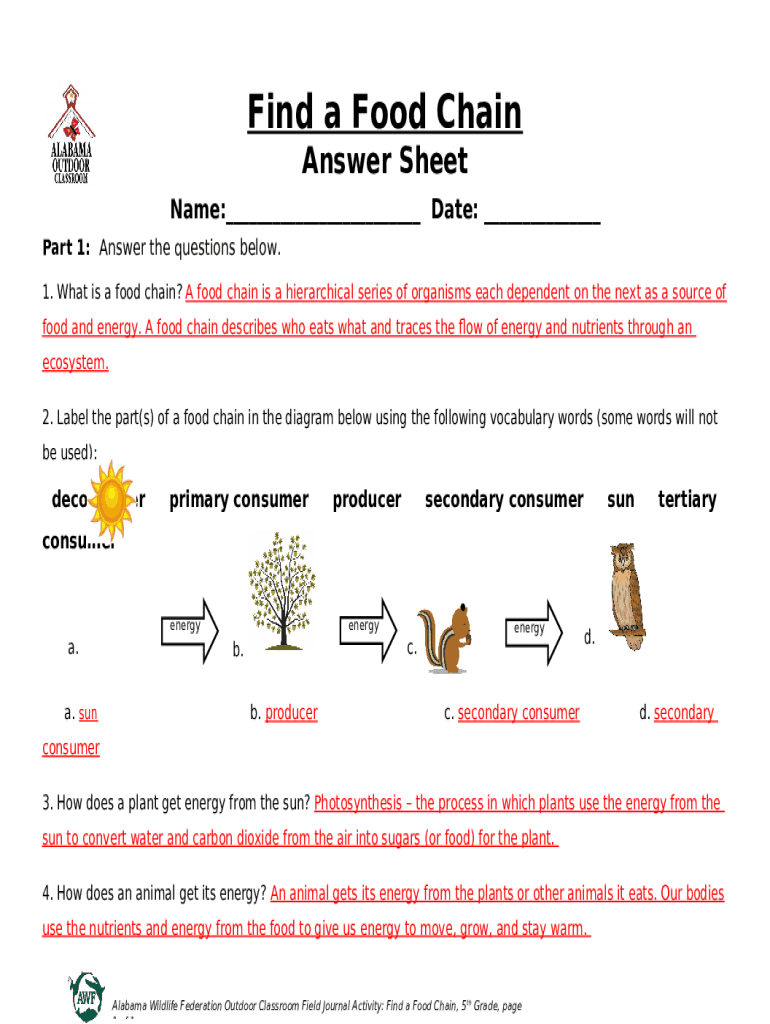 Food chains & food webs (article)Ecology Doc Template | pdfFiller
