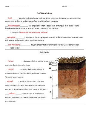 Fillable Online Lesson 2 - How Soil Forms Flashcards Fax Email Print ...