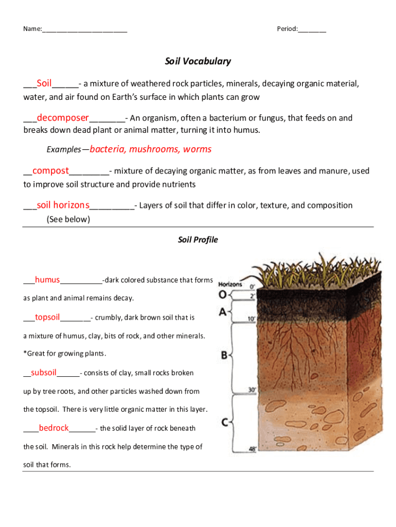 Fillable Online Lesson 2 - How Soil Forms Flashcards Fax Email Print ...