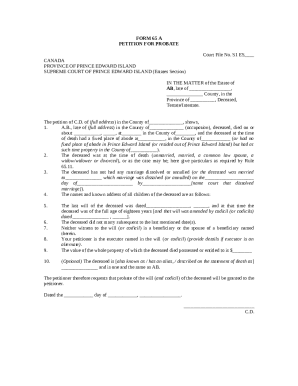65 U LETTERS PROBATE Court File No. S1 ES Doc Template | pdfFiller