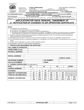 Fillable Online South African Civil Aviation Authority - Government ...