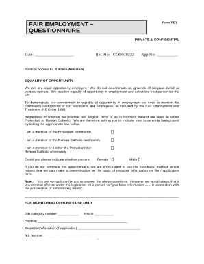 Fair Employment - QUESTIONNAIRE Doc Template | pdfFiller