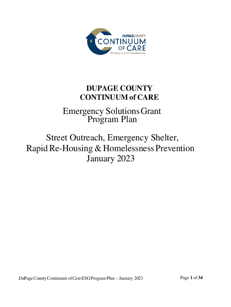 Fillable Online Illinois' Plan to Prevent and End Homelessness Fax ...