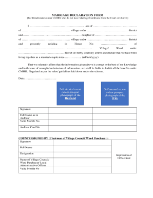 Fillable Online MARRIAGE DECLARATION FORM Fax Email Print - pdfFiller
