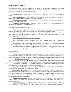 Fillable Online The Constitutionality of Income-Based Fines - Chicago ...