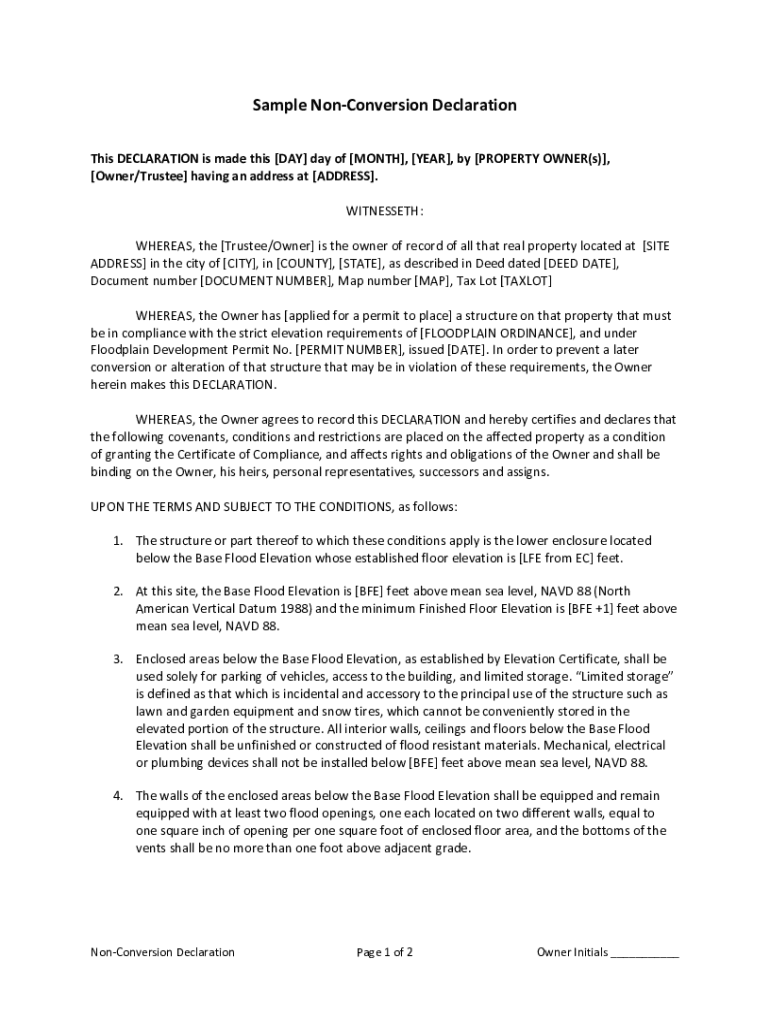 Fillable Online Sample Non-Conversion Declaration Fax Email Print ...