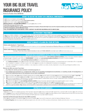 Fillable Online your big blue travel insurance policy Fax Email Print ...