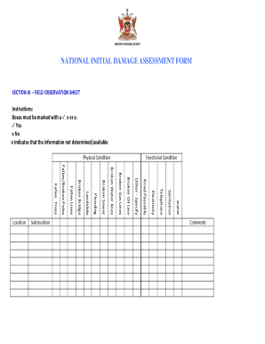 Fillable Online NATIONAL INITIAL DAMAGE ASSESSMENT FORM Fax Email Print ...