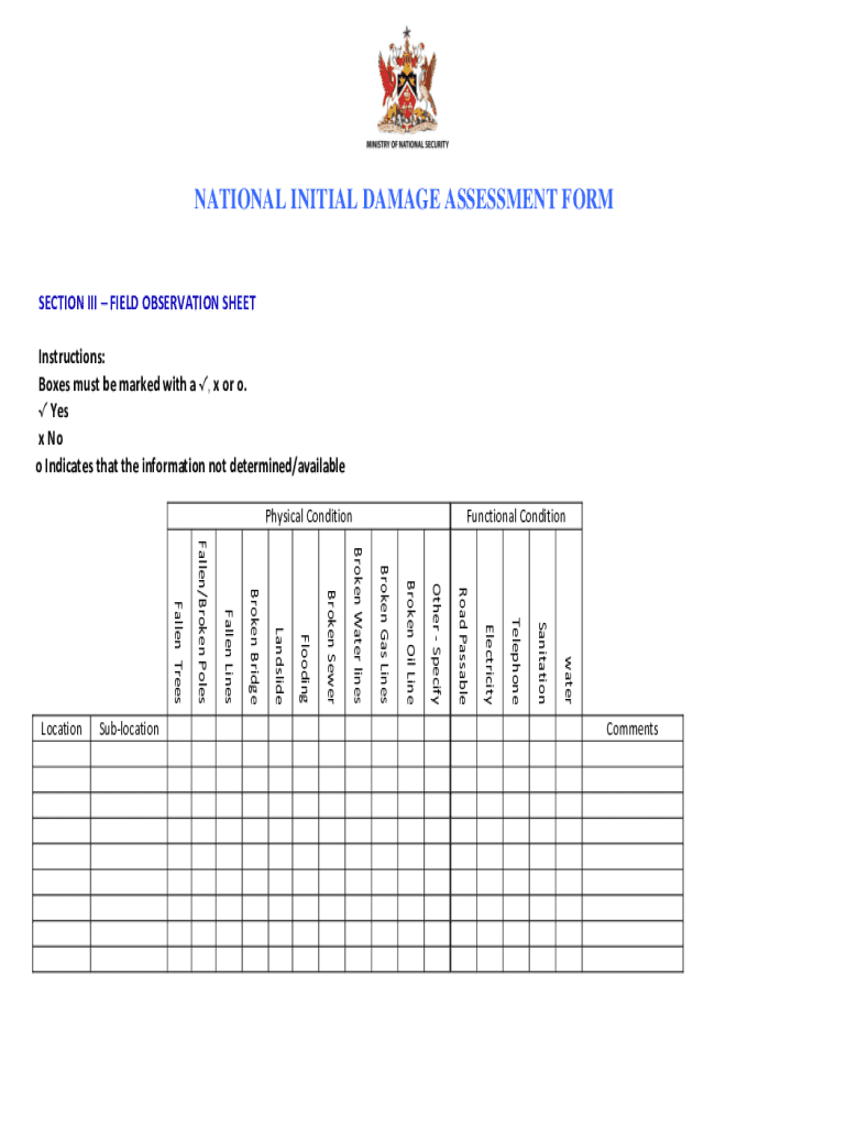 Fillable Online NATIONAL INITIAL DAMAGE ASSESSMENT FORM Fax Email Print - pdfFiller