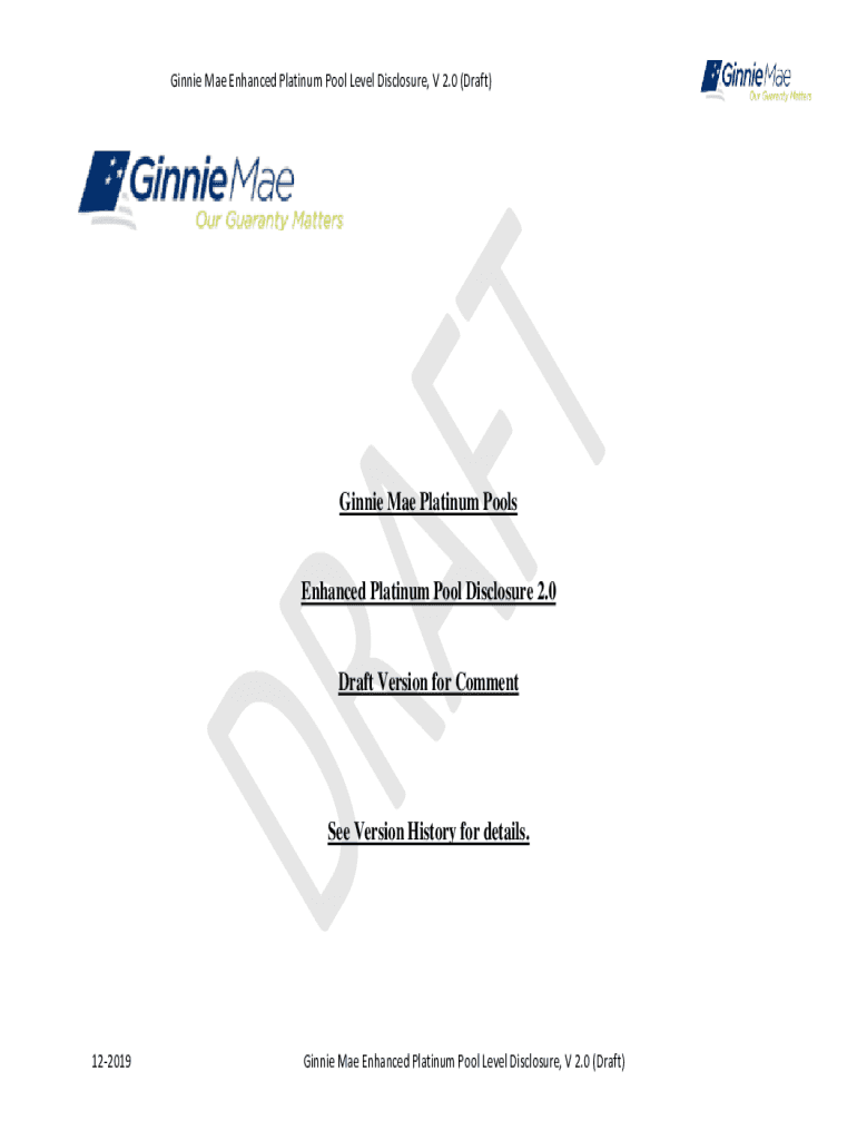 Fillable Online Ginnie Mae Single Family Pool Level Disclosure Layout ...