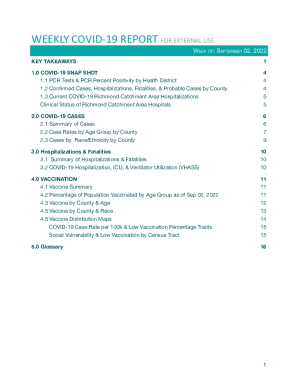 Fillable Online consent form - sof Fax Email Print - pdfFiller
