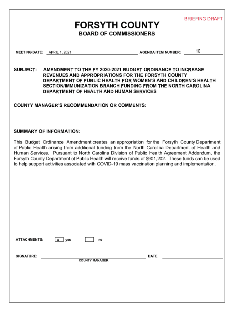 Fillable Online AMENDMENT TO THE FY 2020-2021 BUDGET ORDINANCE TO ...