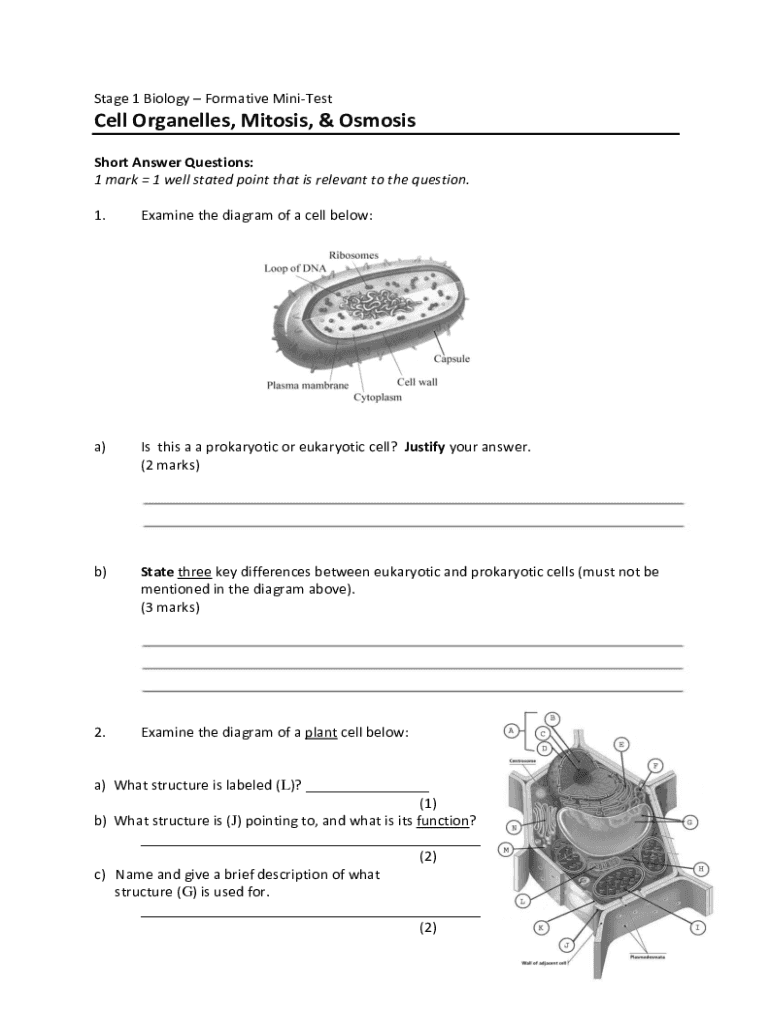 Fillable Online Cell Organelles, Mitosis, & Osmosis Fax Email Print ...