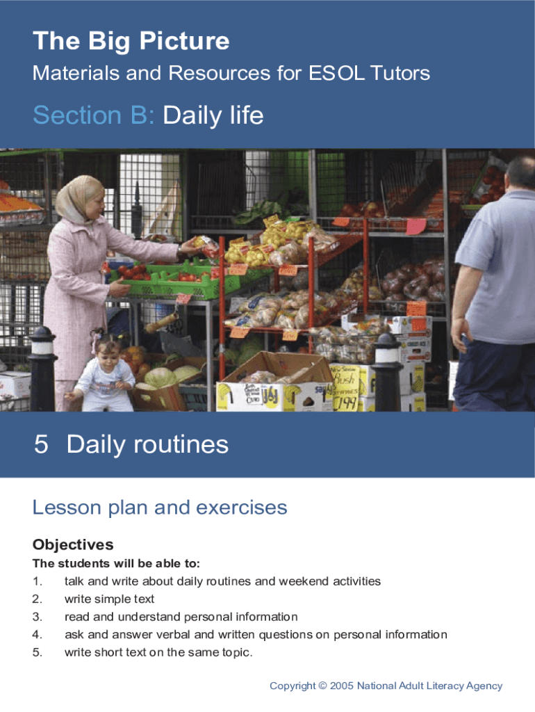 Fillable Online The Big Picture - Section B Daily life - 5 Daily ...