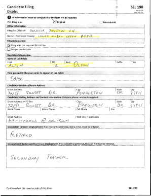 Fillable Online This filing is an Fax Email Print - pdfFiller