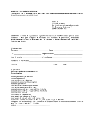 Compilabile Online DICHIARAZIONE SOSTITUTIVA AI SENSI DEL D.P.R. N ...