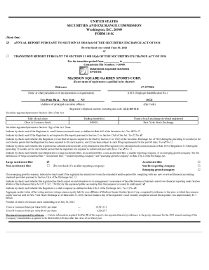 Fillable Online Madison Square Garden Financial Statements Fax Email ...