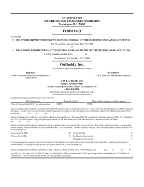Fillable Online See the definitions of "large accelerated filer ...