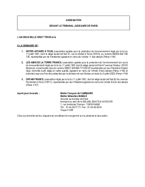 Remplissable En Ligne assignation devant le tribunal judiciaire de ...