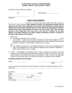 Fillable Online GUILTY PLEA AFFIDAVIT Fax Email Print - pdfFiller