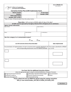 Fillable Online opwdd ny Corrective Action Plan (CAP) Submission Form ...