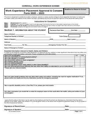 Fillable Online Work Experience Placement Approval & Consent Form ...