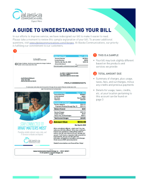 Fillable Online A GUIDE TO UNDERSTANDING YOUR BILL Fax Email Print ...