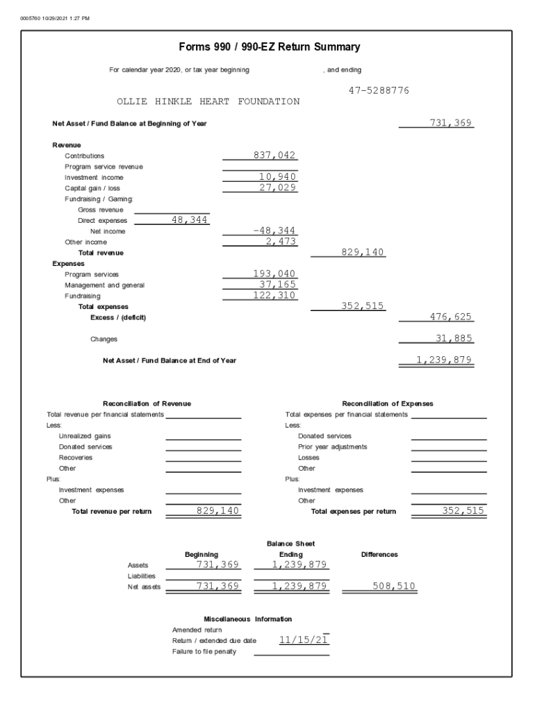Fillable Online IRS Form 990 FY 2018.pdf Fax Email Print - pdfFiller