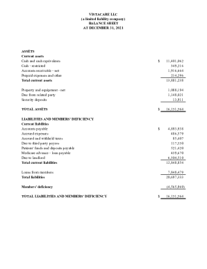 Fillable Online VISTACARE LLC (a limited liability company) BALANCE ...