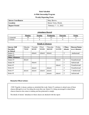 Fillable Online Sixth Schedule At Risk Internship Program Weekly ...
