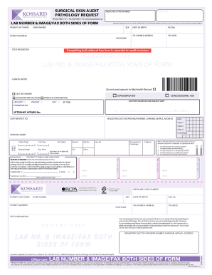 Fillable Online Skin Audit Fax Email Print - pdfFiller