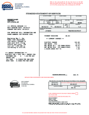 Fillable Online ITEMIZED STATEMENT OF SERVICES Fax Email Print - pdfFiller
