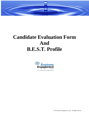 Candidate Evaluation And BEST Profile Doc Template | pdfFiller
