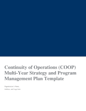 Fillable Online Multi-Year Strategy and Program Fax Email Print - pdfFiller