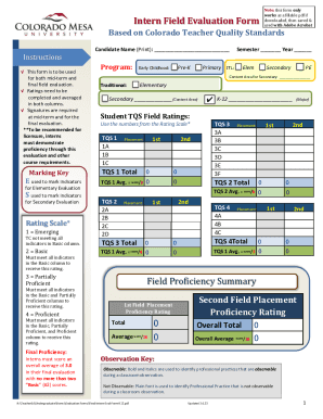 Fillable Online Intern Field Evaluation Form Field Proficiency Summary ...