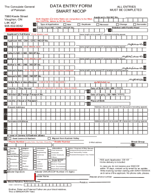 Fillable Online Data Entry Form Smart Nicop Fax Email Print - pdfFiller