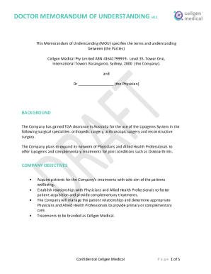Fillable Online What is a Memorandum of Understanding/Letter of Intent ...