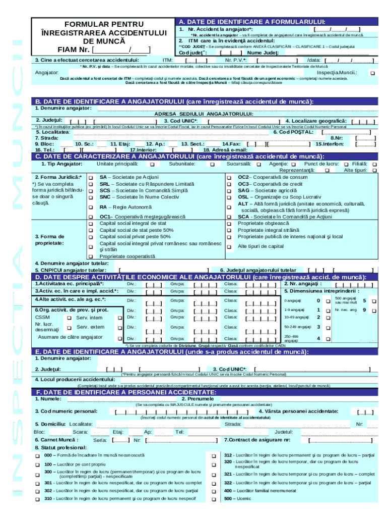 FIAM i a instruciunilor de completare a acestuia Doc Template | pdfFiller