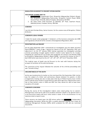 Fillable Online Safeguarding Adult Review Action Plan Template Fax ...
