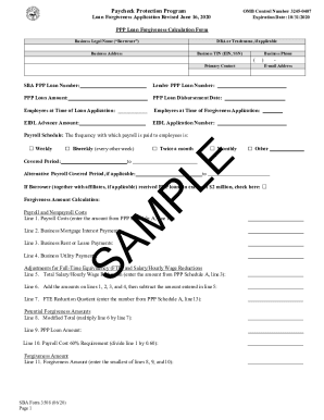 Fillable Online Citibank ppp form Fax Email Print - pdfFiller