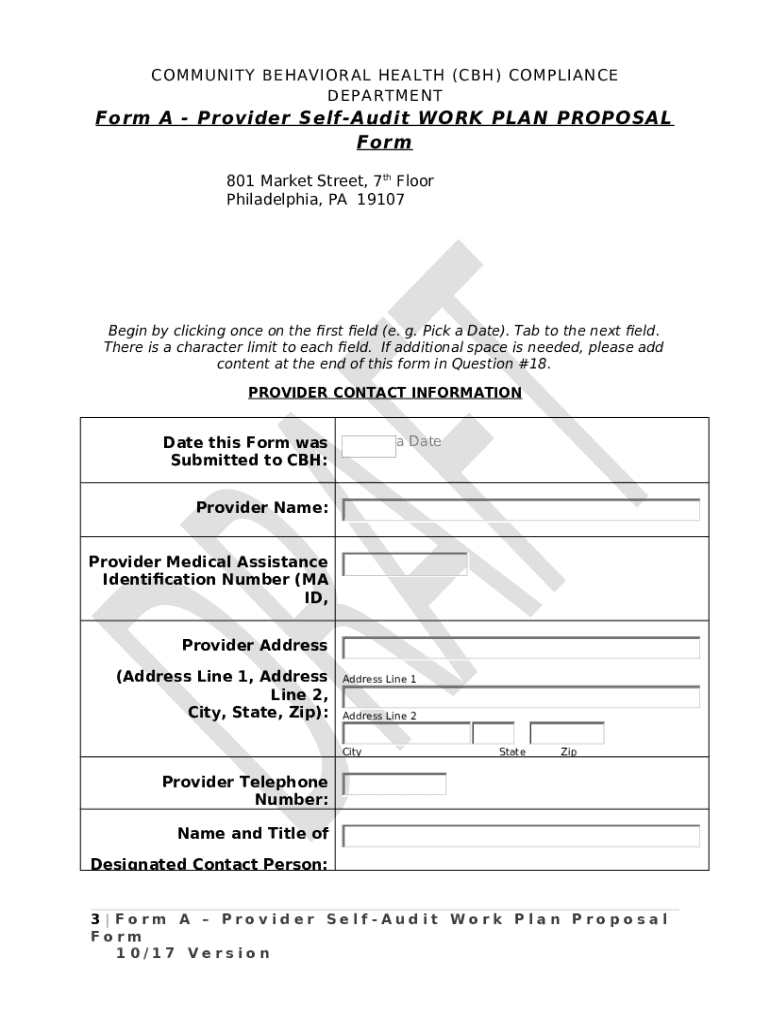 Provider Self-Audit WORK PLAN PROPOSAL Doc Template | pdfFiller