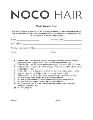 FCDO Honours Nomination Doc Template | pdfFiller