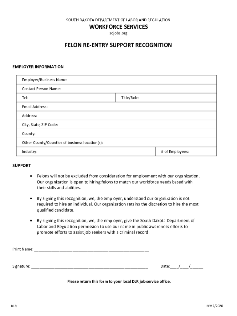 Fillable Online dlr sd FORM 51 Felony Re-entry Support Fax Email Print ...