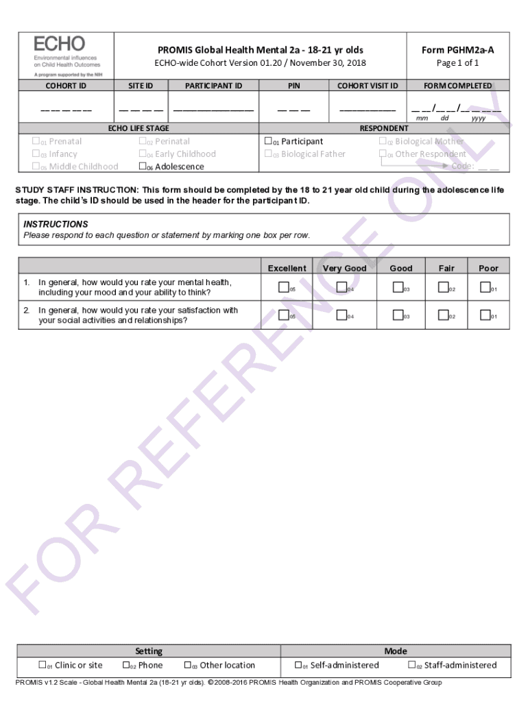 Fillable Online Two-item PROMIS global physical and mental health ...